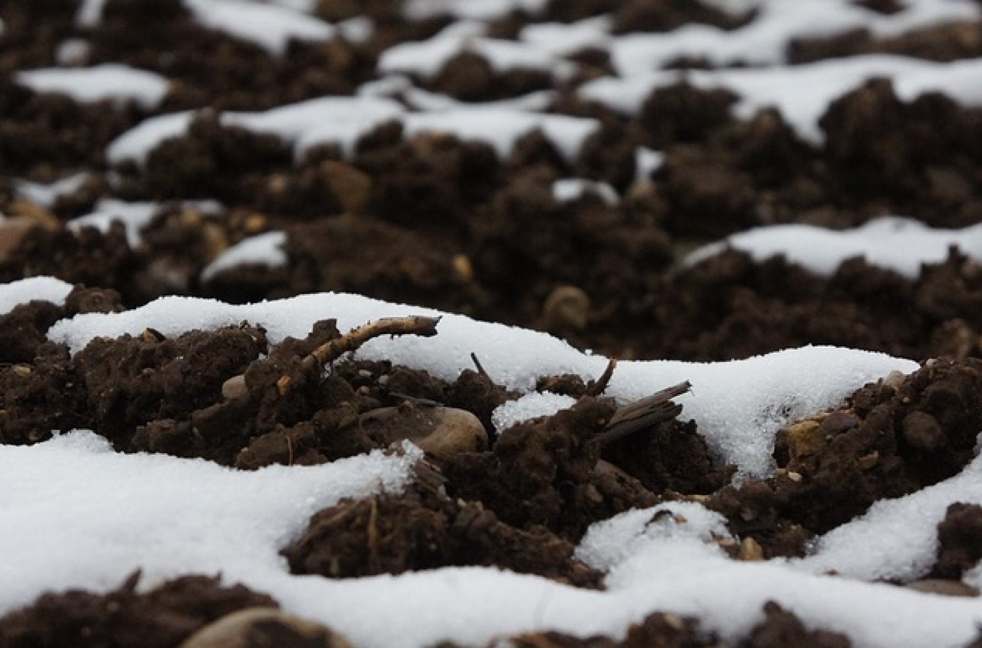 Preparing Your Garden For Winter with Helmrig